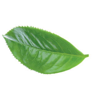 Cameron Valley Tea - 100% Natural From The Highland