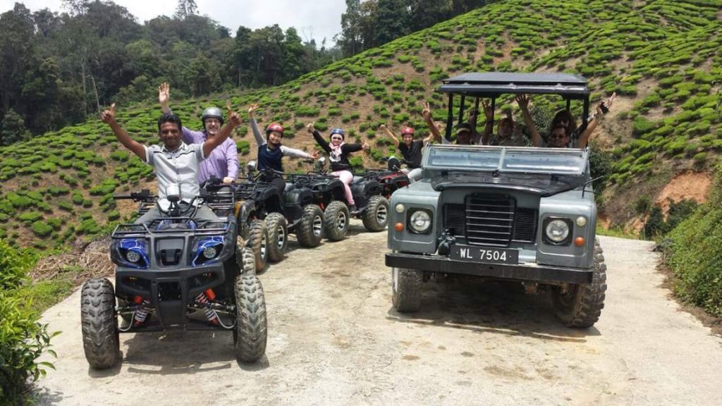 ATV Package - Cameron Valley Tea