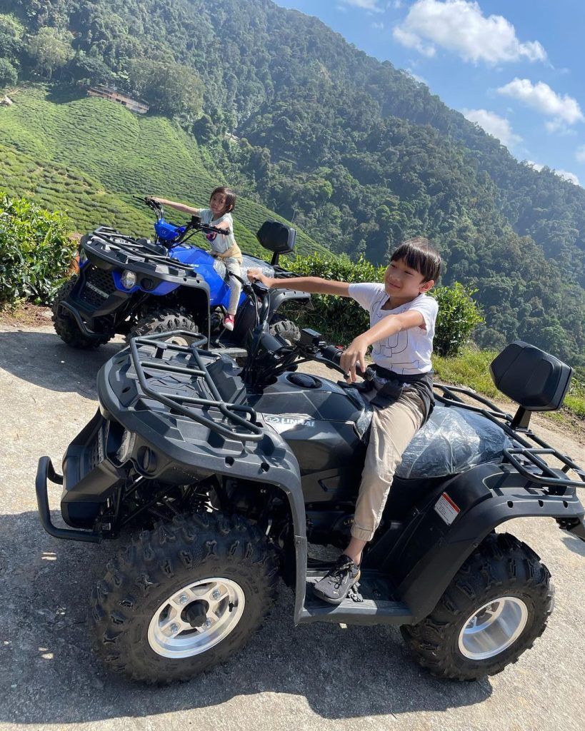 ATV Package - Cameron Valley Tea