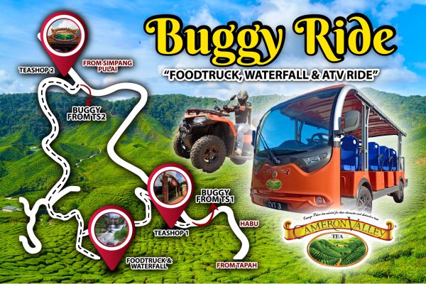 Buggy Ride - Cameron Valley Tea