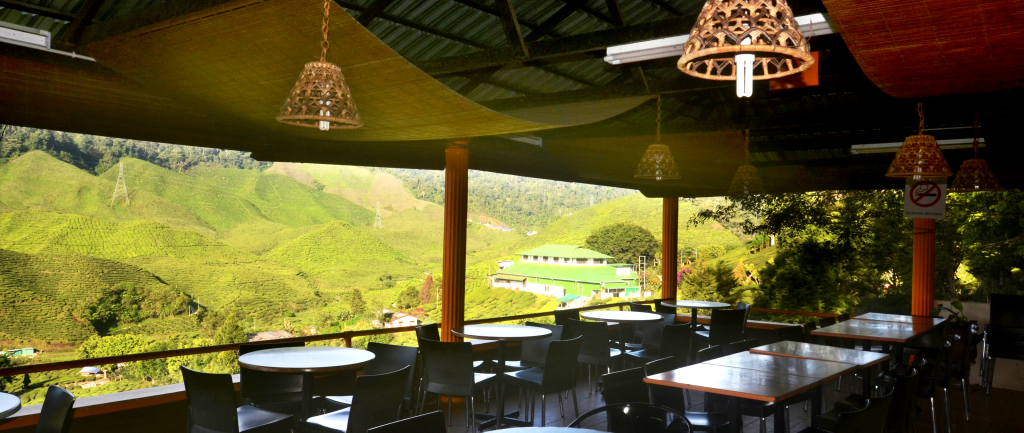 Tea House - Cameron Valley Tea